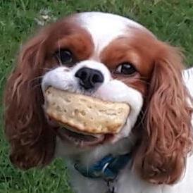 Github Jthomperoo Simple Proxy Simple Http Https Proxy Designed To