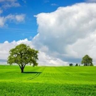 Shumingshi Shuming Shi Github