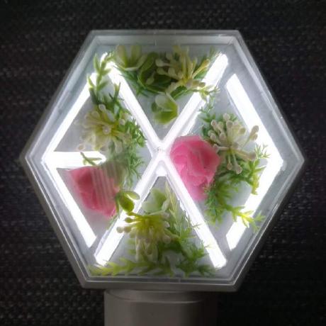 Deepikasenthil Deepika Github