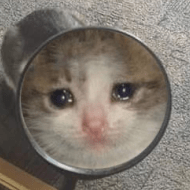 Mattmatterson111 Matt Github