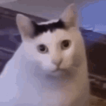 Heisenbergiscoding Heisenberg Github