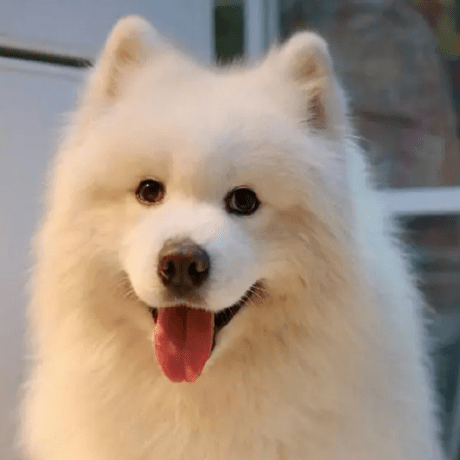 Csquare2001 C Square Github