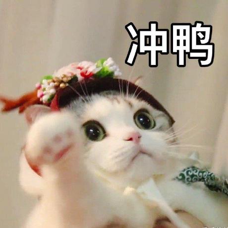 Seuer Github - Best Colorful Photos in HD