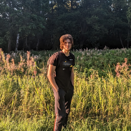 Gorizontx Andrey Github - Beautiful Sunset Background - 4K