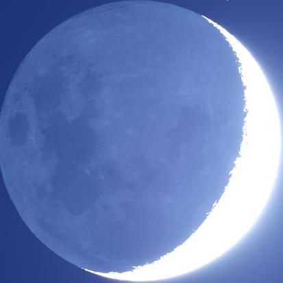 Tycho Bear Tycho Github