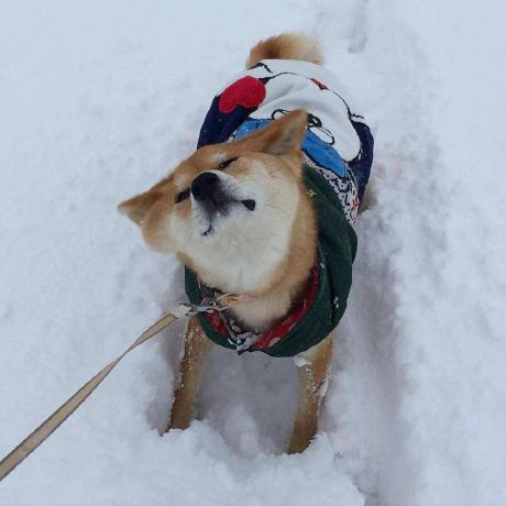 Hei Cloud Hei Github