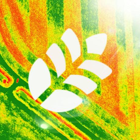 Rmhpf Github - Sunset Pictures - Perfect Mobile Collection