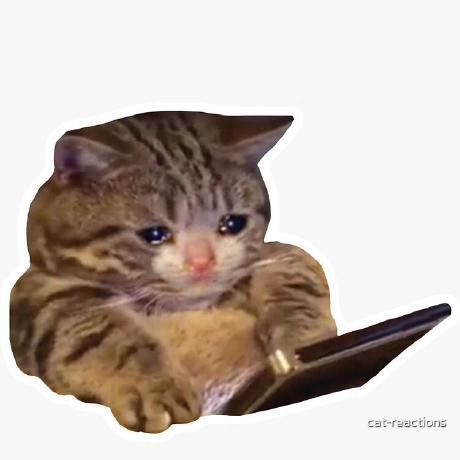 Jazper Dev Jazper Github