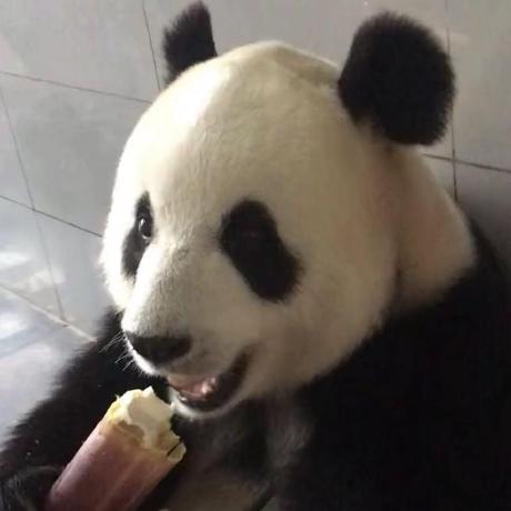 Cyang Kth Can Yang Github