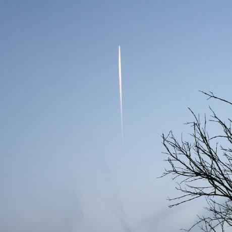 Lixhshannon Shannon Li Github