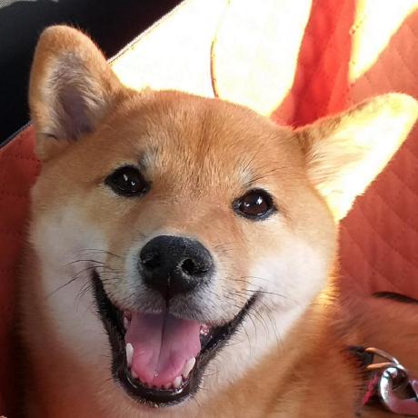 Krzysztofkot Krzysztof Github