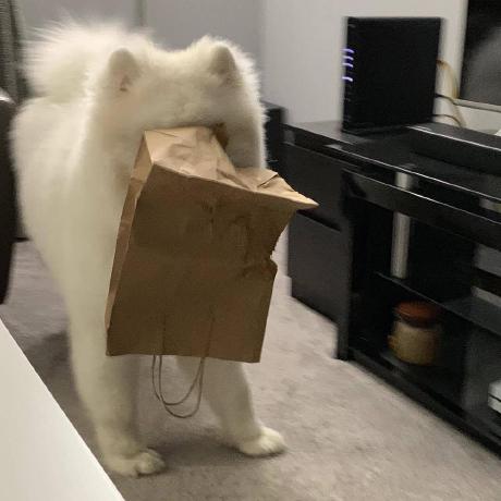 Br Bread Ksusha Github