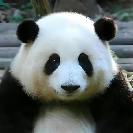 Hugosama1121 山海 Github