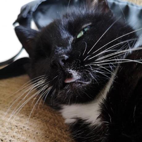 Github Neo305 Karo - Light Photos - Gorgeous High Resolution Collection