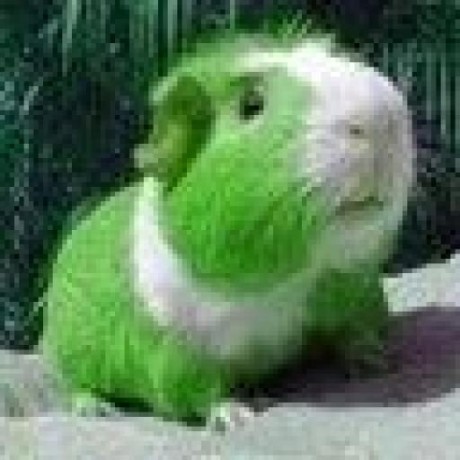 Github Yubico Java Webauthn Server Server Side Web Authentication