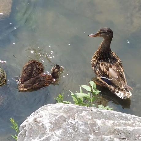 Lewisleedev Lewis Lee Github