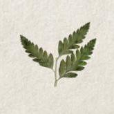 Church Life Apps Github