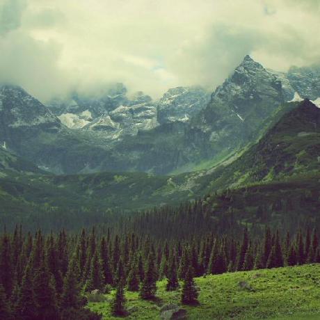 Li Ruiqi777 Li Ruiqi Github