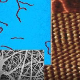 High Resolution Microscopy Laboratory Github