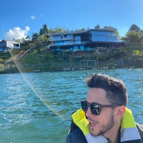 Dantephoenix Gabriel Posada Github