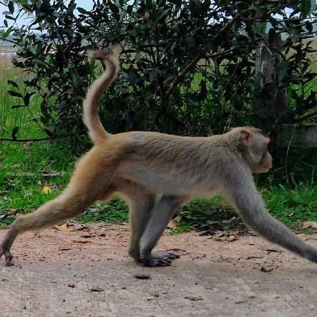 Jacksonclive Jackson Clive Github