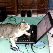 Mattstw Matt S3c Github