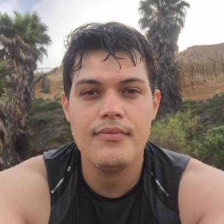 Ramon 08 Ramon R Github