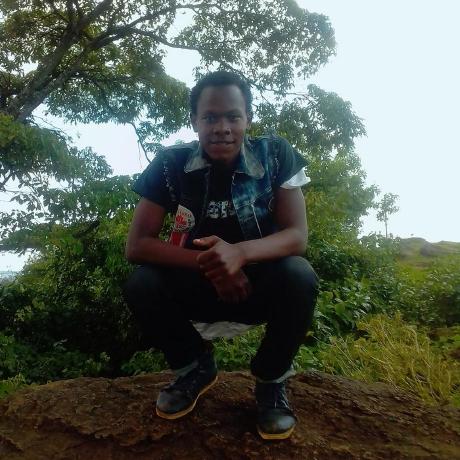 C The Doctor The Doctor Github