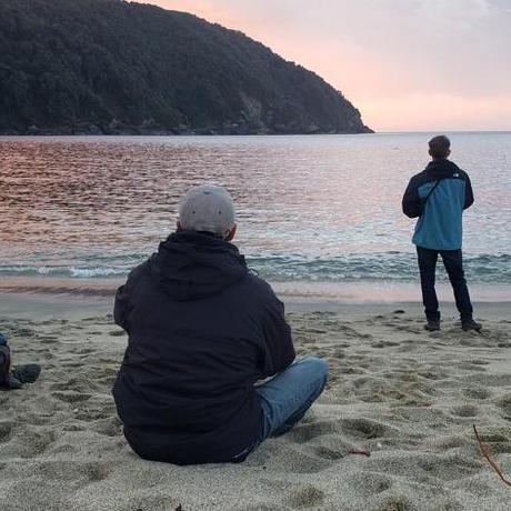 Mariotorresc Mario Torres Github