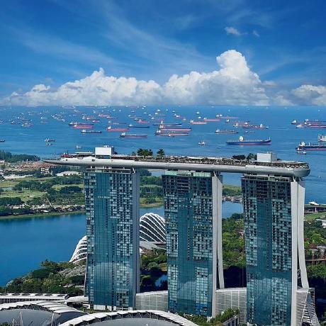 Amy Zhou69 Amy Zhou Github