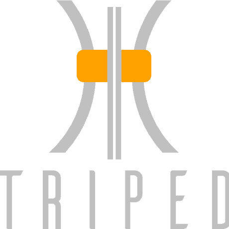 Triped Project Github - Premium Ocean Art Gallery - HD