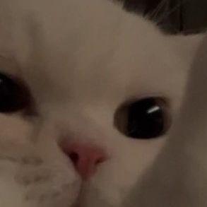 Eacamih Camilla V Github