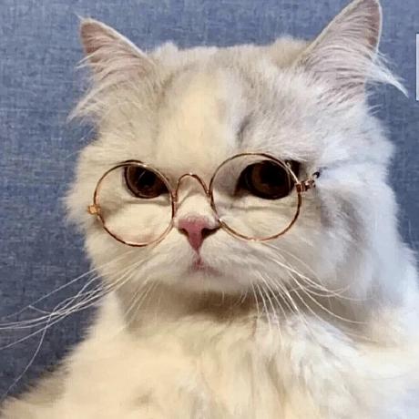 Yao0977 Peipei Github