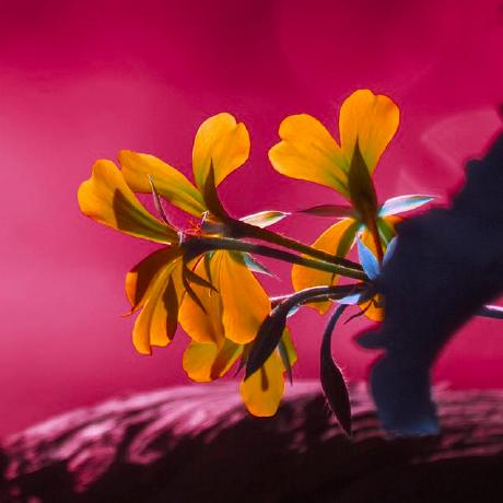 Thunder04 Thund Github