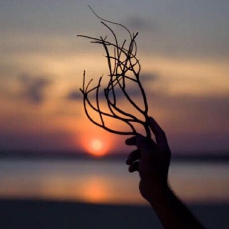 Healer37 Healer Github