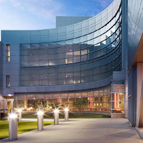 Waynerobotics Github - Sunset Art Collection - 4K Quality