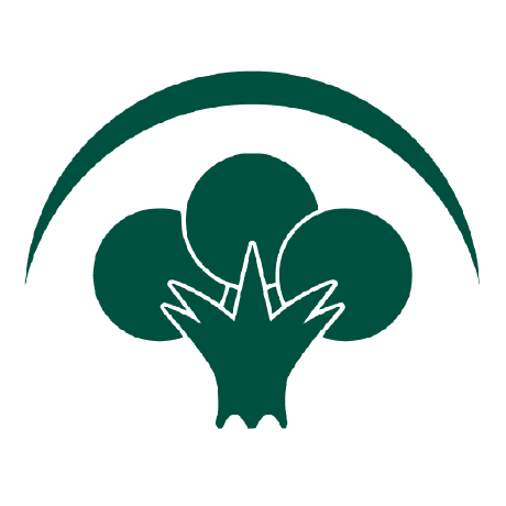 Forest Technologies Github