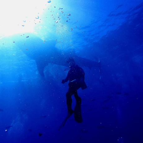 Bin Pro Subin Lee Github