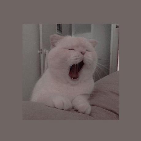 Bachnguyense Bã Ch Nguyá N â Github