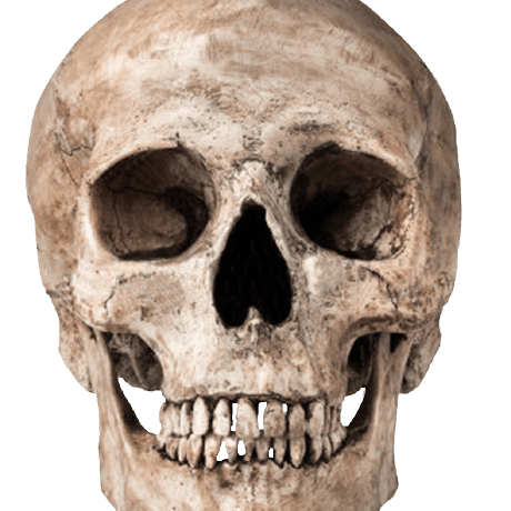 Deep Learning Exploration Github - Vintage Art Collection - 4K Quality