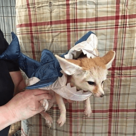 Amares101600 Andrewm Github