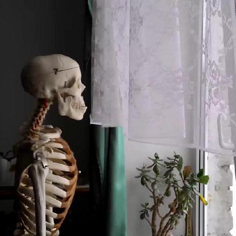 Jacobjwalters Jacob Walters Github