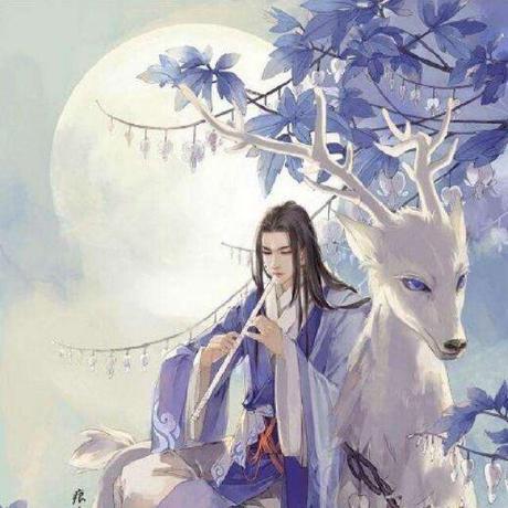 Zengwangfa Github - Classic High Resolution Nature Photos | Free Download