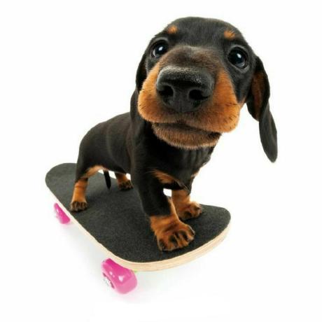 Fofan228 Fofan Github