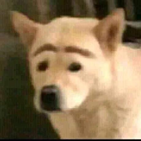 1337rinz Tuan Kiet Github