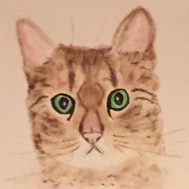 Cs128 Illinois Github