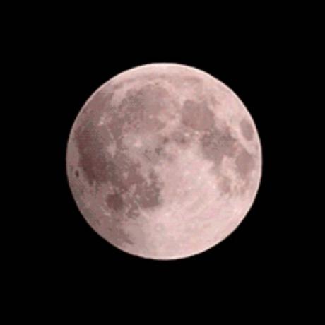 Bang Github Bang Github