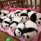 Github Dualshock Tools Dualshock Tools Github Io