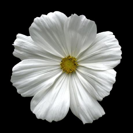 Kenza Borja Kenza Borja Github