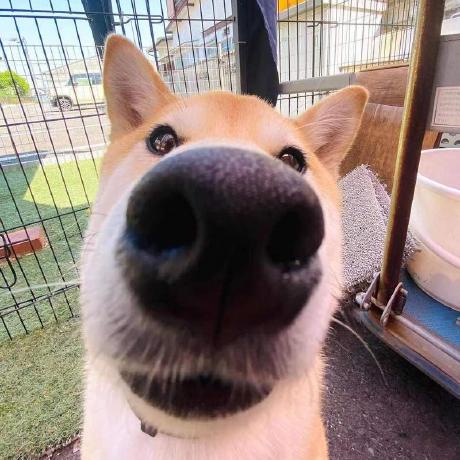 Anthony Hu01 Anthony Hu Github